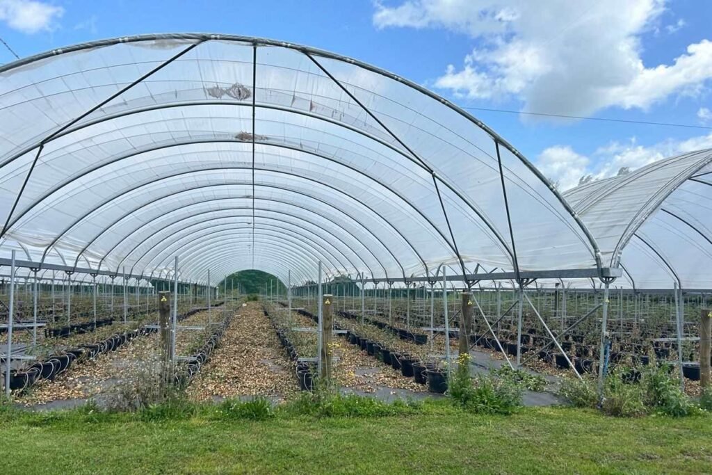 Agro Dome Projects LLP