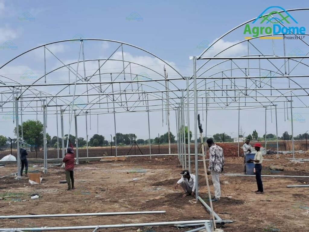 FPPH - Anjad, Madhya Pradesh India - Agro Dome Projects LLP